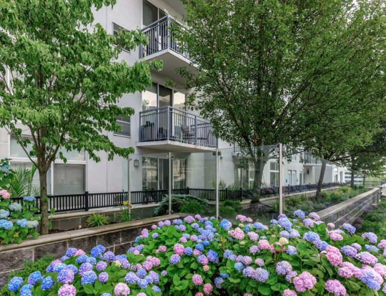 Photos of Apartments & Amenities | Infinity Harbor Point